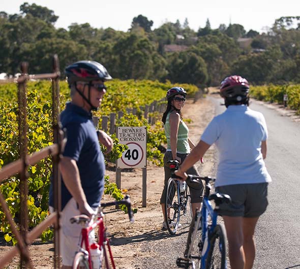 The Louise | Experience the Best of Barossa